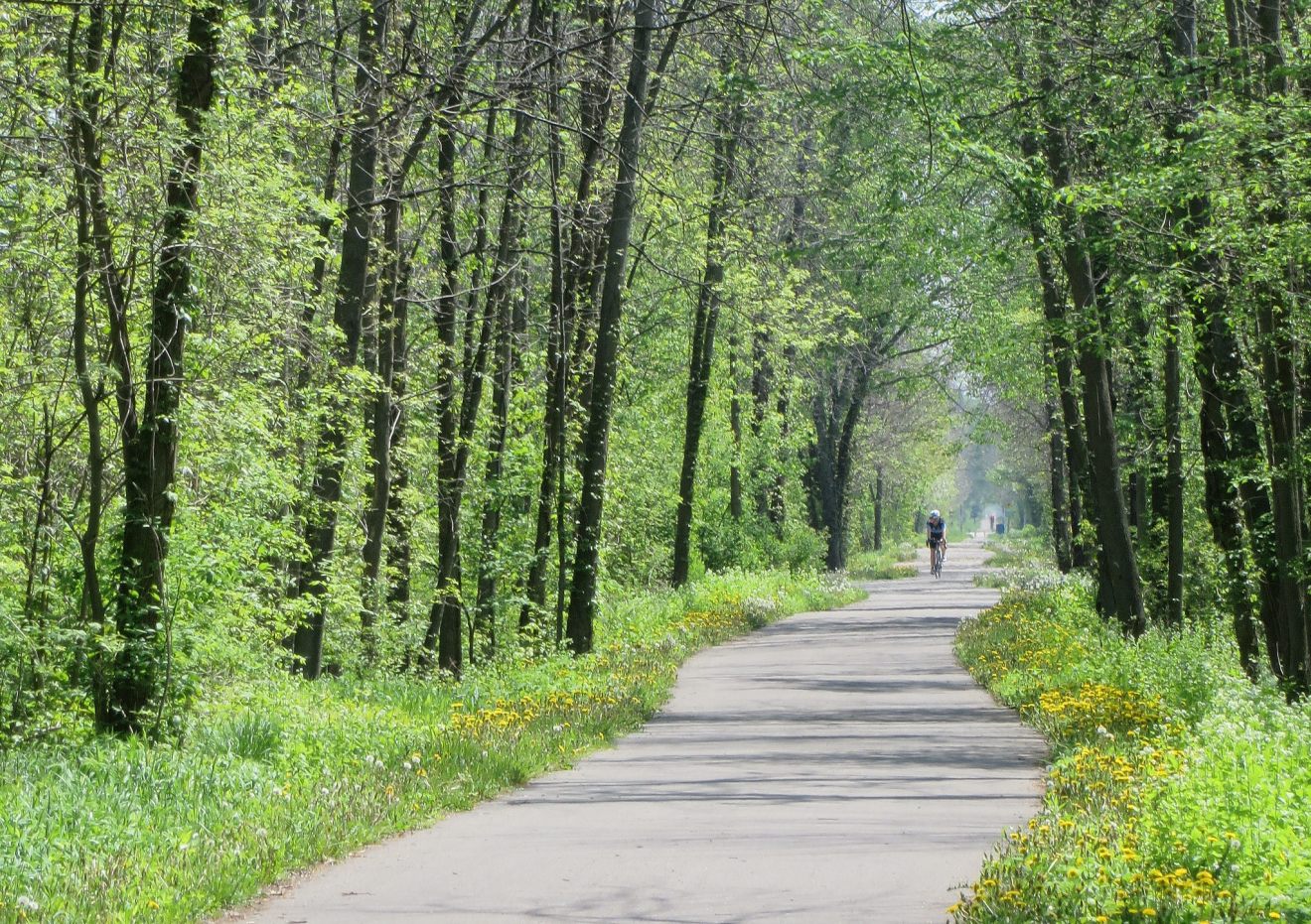 Riding the Niagara Circle Route – Sean Marshall